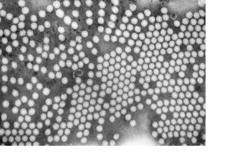 Real Pictures of Atoms | Can We Actually See Atoms