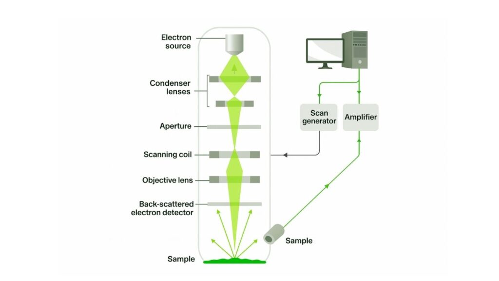 Real Pictures of Atoms | Can We Actually See Atoms