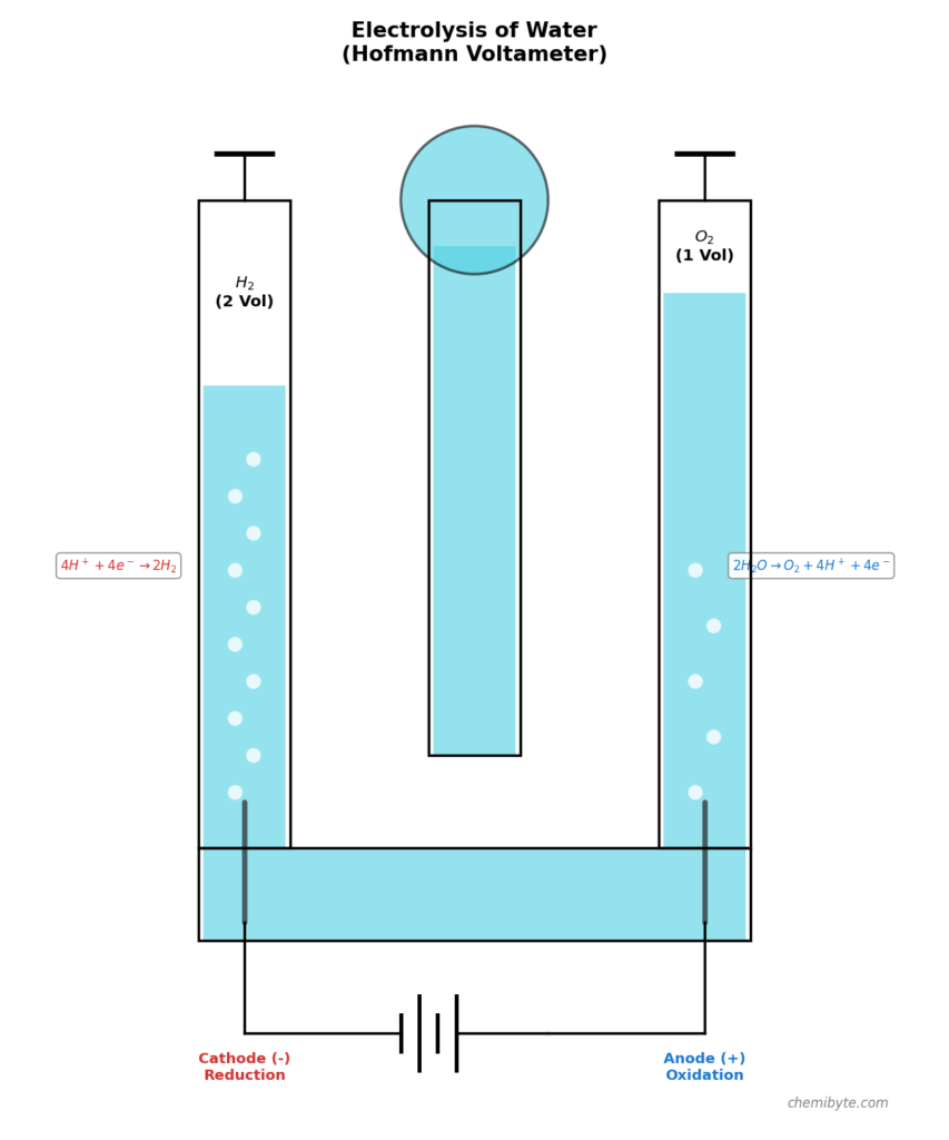 Water Electrolysis Experiment: Cathode/Anode Reactions